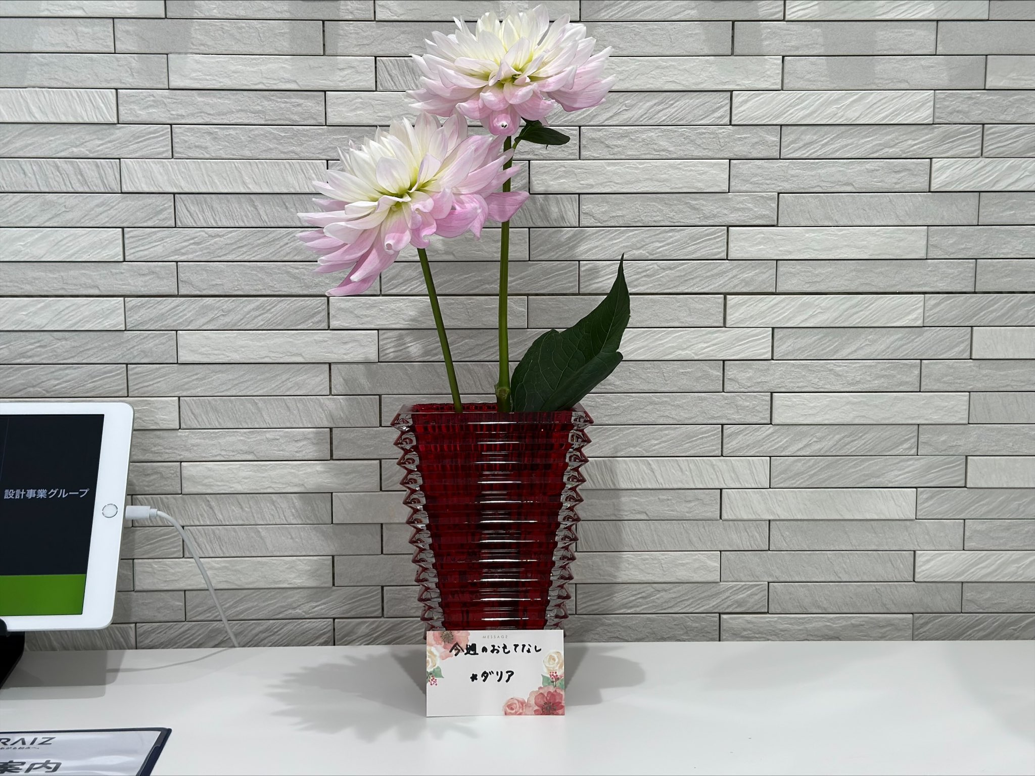 【MIRAIZの花日記】今週のおもてなし - MIRAIZ株式会社