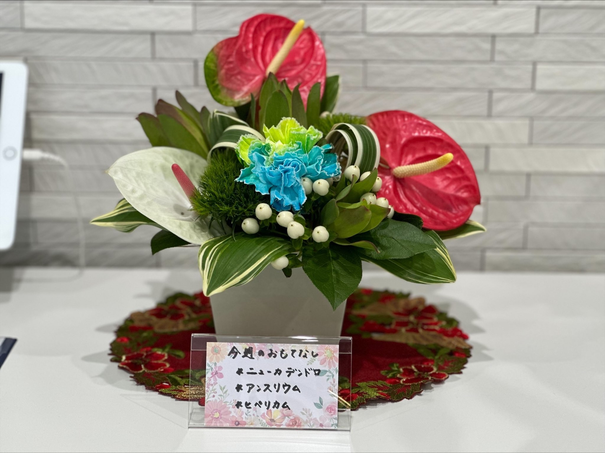 【MIRAIZの今週のおもてなし】アンスリウム - MIRAIZ株式会社