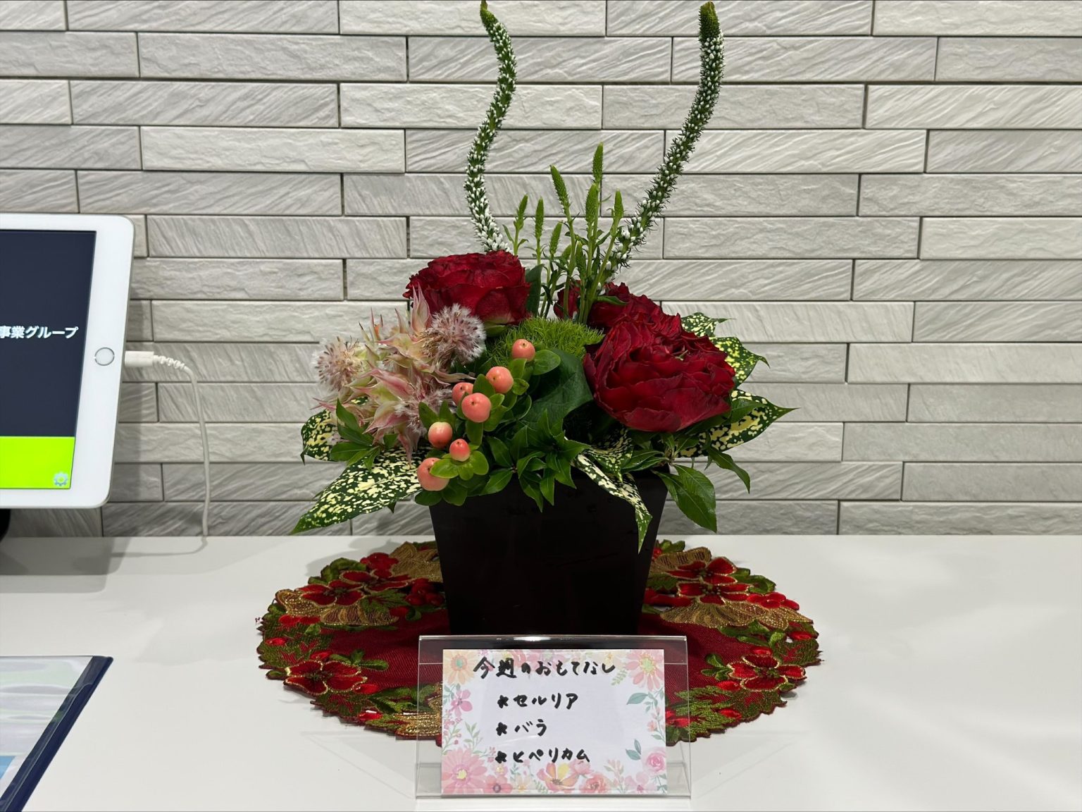 【MIRAIZの今週のおもてなし】セルリア - MIRAIZ株式会社