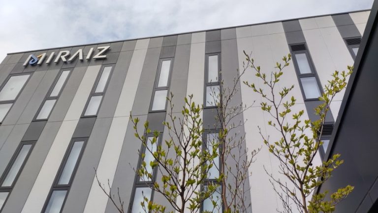 【MIRAIZの花日記】新緑～ヒメシャラ - MIRAIZ株式会社