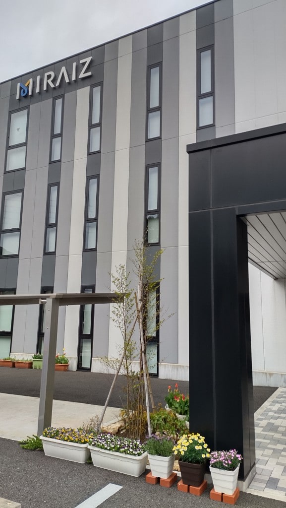 【MIRAIZの花日記】新緑～ヒメシャラ - MIRAIZ株式会社